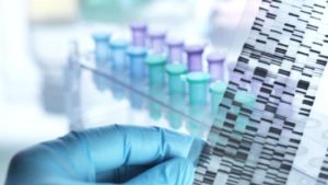 The Process - Fake DNA Test - Instant Fake DNA Test Results - Fake ...